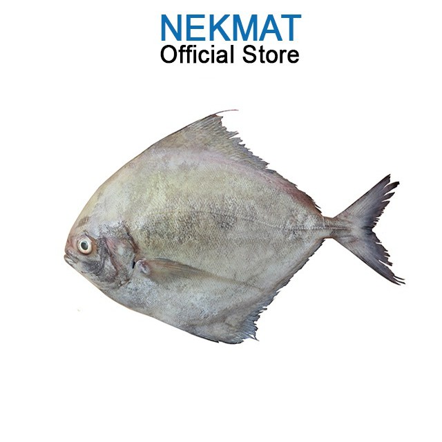 Ikan Bawal Hitam 1kg | (Area KL - Selangor) | Shopee Malaysia