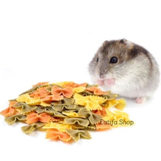 Hamster Chew Snack - Dried Pasta 10g | Shopee Malaysia