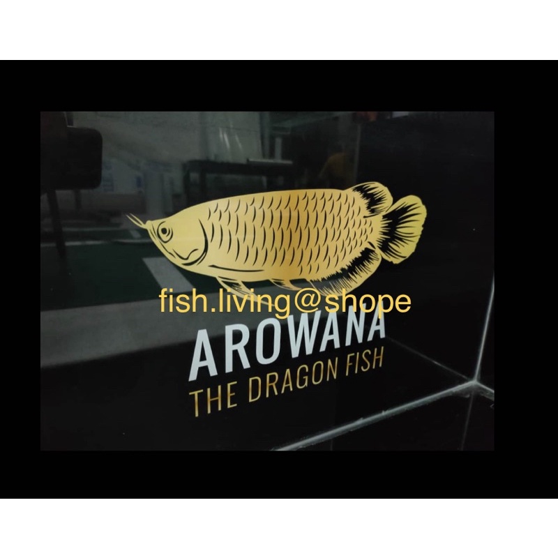FISH TANK AKUARIUM BACKGROUND STICKER AROWANA | Shopee Malaysia