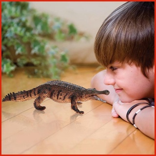 Alligator Toy Realistic Crocodile Figures Simulated Crocodiles Model ...