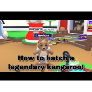 Adopt Me Legendary Kangaroo Fly Ride(FR) | Shopee Malaysia