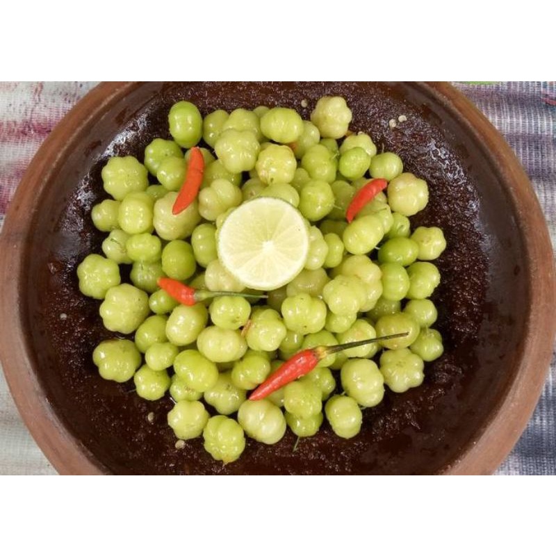 Pokok Cermai Pokok Cermai | Shopee Malaysia