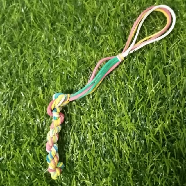 Getah lastik cicak murah | Shopee Malaysia