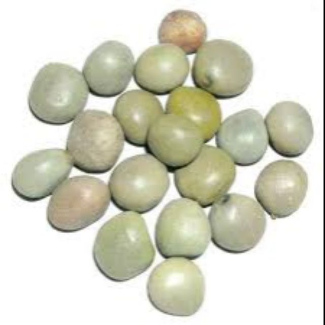 300gm Buah Gorek Fever Nuts / Kalarchikai / Bonduc Nut / Hua Nan Yun ...