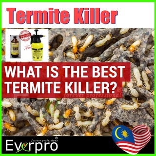 Termite Killer Pest Control 500ml Liquid Termite Killer Termiticide ...
