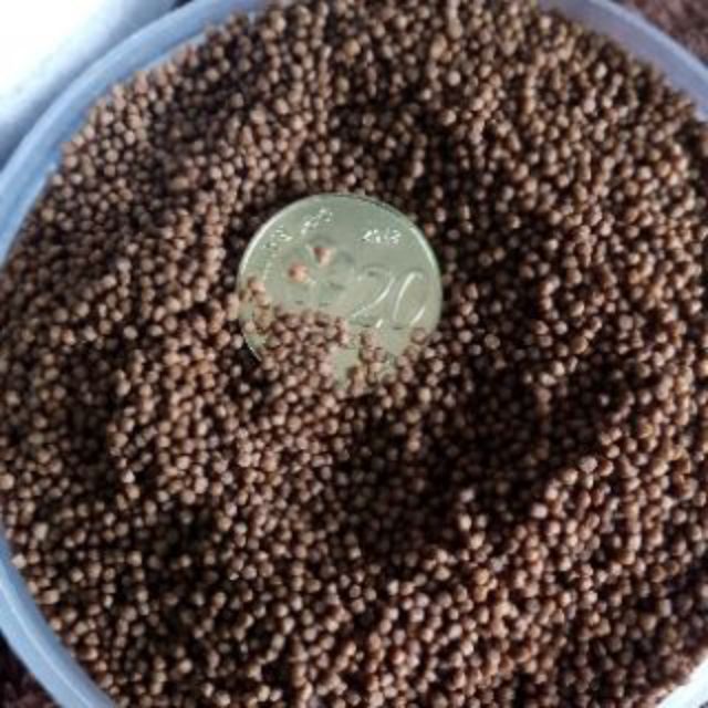 pellet seamaster F00 48% protin, sesuai untuk semua jenis ikan kecil ...