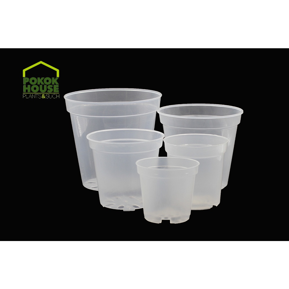 Transparent pot - pasu plastik lutsinar (translucent material for plant ...