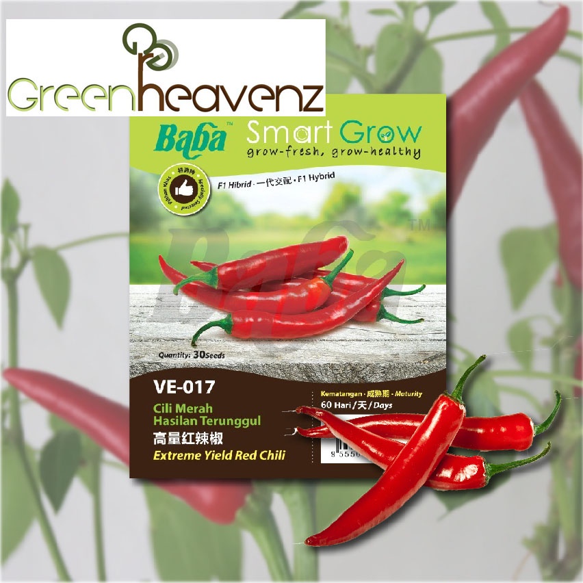 GHZ - Baba Smart Grow Seeds VE-017 Hybrid Extreme Yield Red Chilli ...