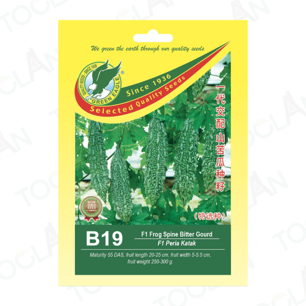 F1 Hybrid Frog Spine Bitter Gourd Seeds / Benih F1 Hibrid Peria Katak ...