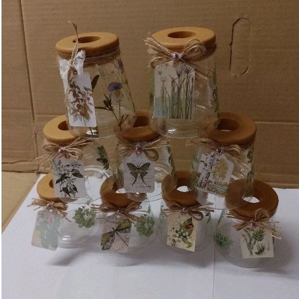 TLG Semi Hydroponic Transparent Pot ( LECA Pot) | Shopee Malaysia