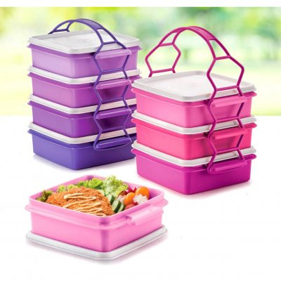 Tupperware - Small Goody Box With Cariolier - 790ml - (Set Of 4) (Pink ...