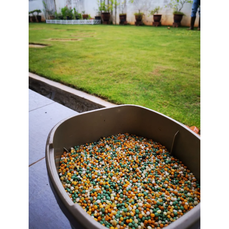 Baja Rumput Karpet/ Lawn Fertilizer/ Golf Fairways[Russell Cote 21-4-21 ...