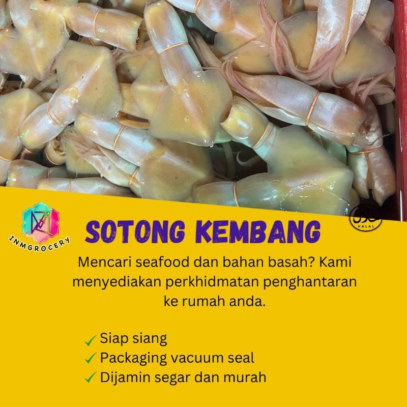 SOTONG KEMBANG 500g Fresh | Shopee Malaysia