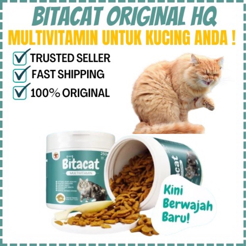 BITACAT MULTIVITAMIN UNTUK KESIHATAN DAN GEMUKKAN KUCING ANDA ...