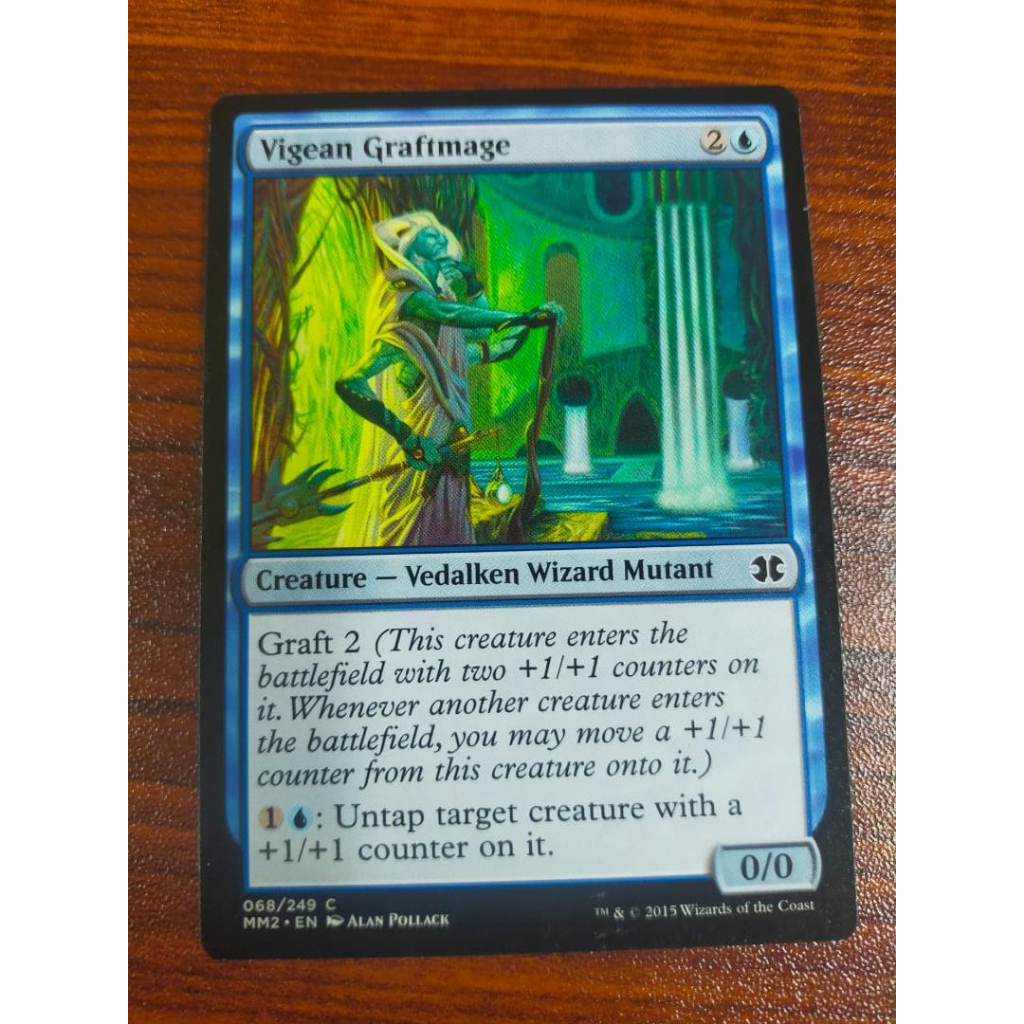 Magic the gathering Vigean Graftmage | Shopee Malaysia