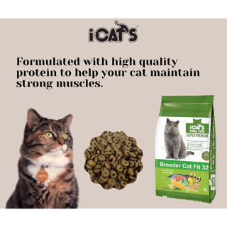 [100% ORIGINAL] 7kg iCAT'S Breeder Cat Fit 32 Mackerel & Salmon Fish ...