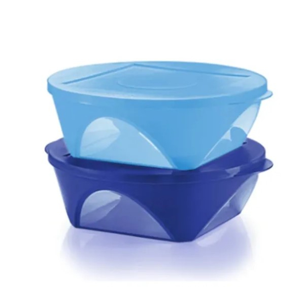 Tupperware Outdoor Dining Bowl (1) | Shopee Malaysia
