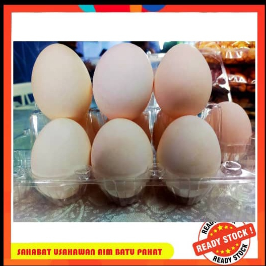 TELUR MASIN GRED A 5 BIJI SIZE BESAR Direct dari Penternak Stok Baru ...