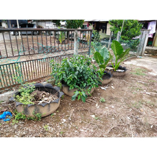 Pasu Bunga Tayar Hiasan tanpa cat | Shopee Malaysia