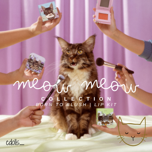 (PREORDER) Meow Meow Collection BeauTyra Blusher Born To Blush & Lip ...