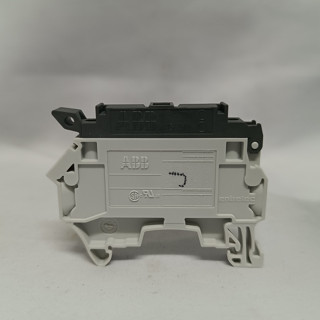 ABB-ZS4 1SNK505010R0000 ZS4 Screw Clamp Terminal Block - Feed-through | Shopee Malaysia