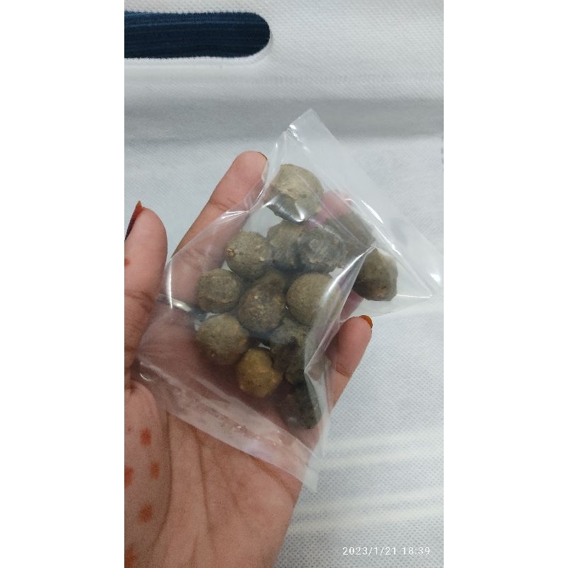biji manjakani 50 gram | Shopee Malaysia