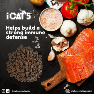 [100% ORIGINAL] 7kg iCAT'S Breeder Cat Fit 32 Mackerel & Salmon Fish ...