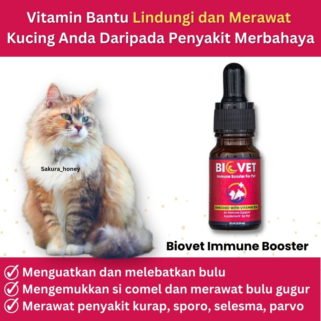 Biovet Immune Booster Ubat Sporo Kucing Biovet Immun Booster Original ...