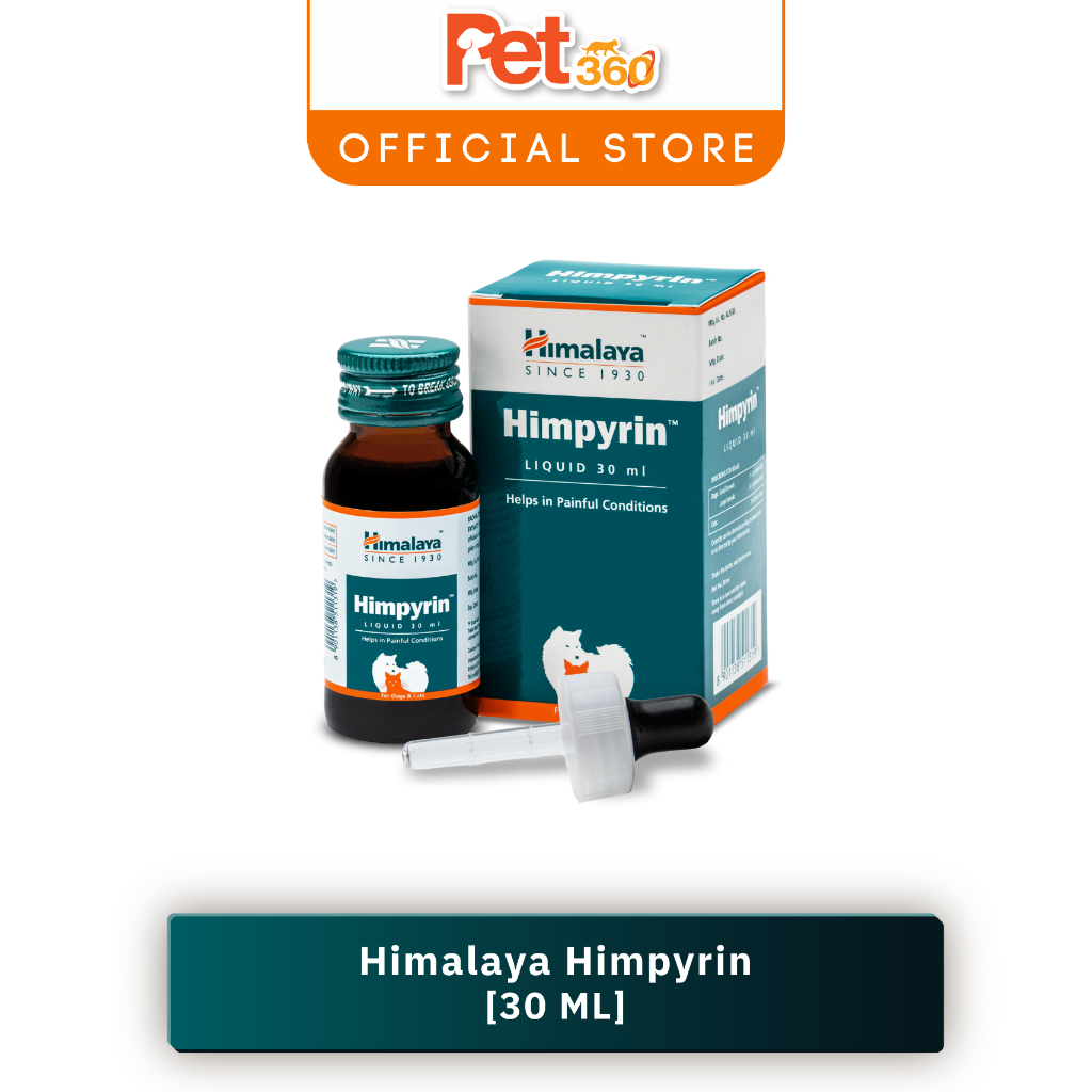 Can I Give My Dog Liquid Paracetamol