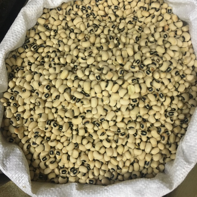 Kacang Tupat / Black Eye Bean | Shopee Malaysia