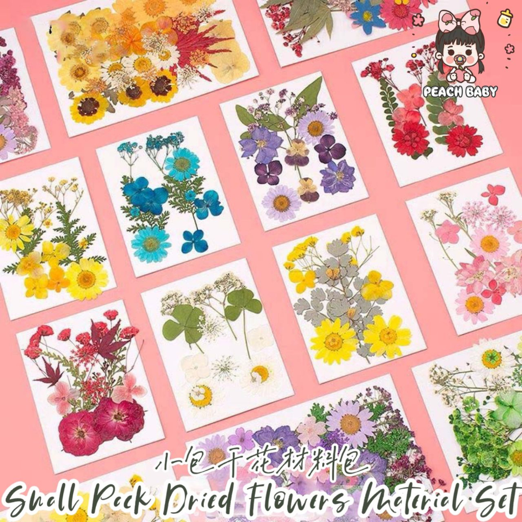 12pcs Small Pack Dried Flower Material Set Resin Craft Starter Pack ...