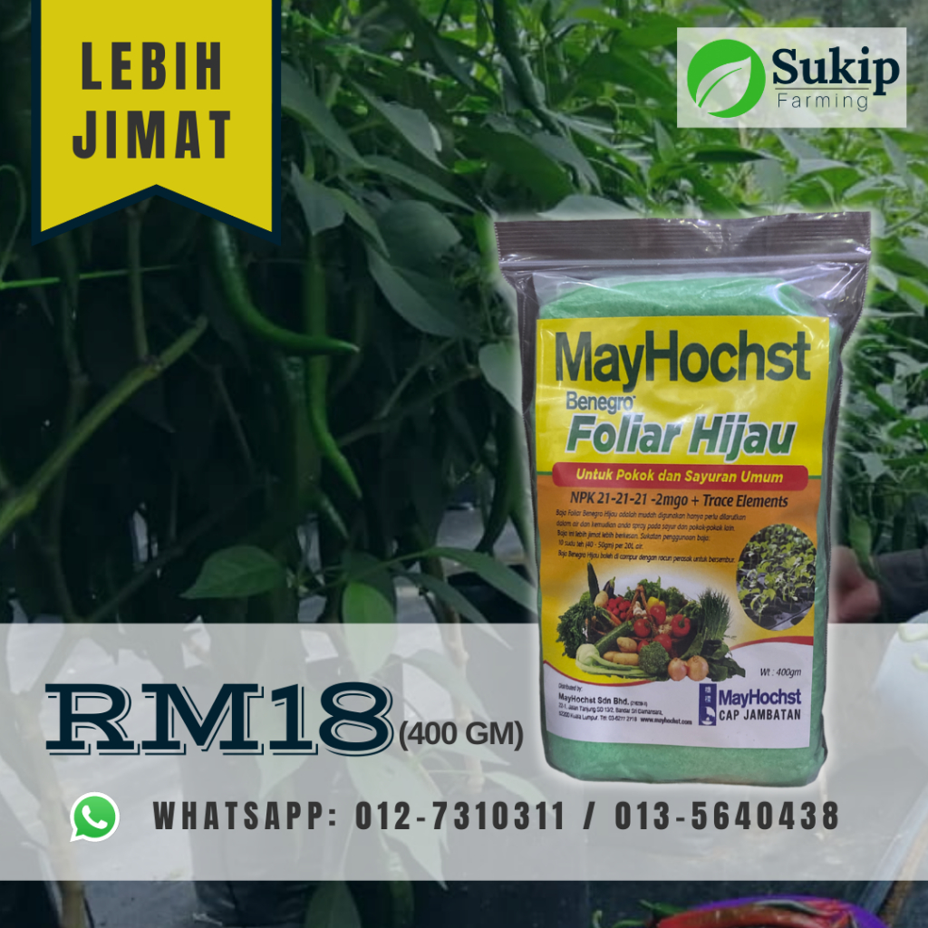 Ready Stock MAYHOCHST BENEGRO Baja Foliar Hijau NPK 21-21-21 400G ...