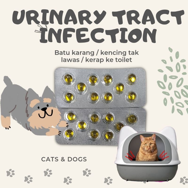 Ubat Batu Karang / Urinary Infection Kucing Kencing tak lawas | Shopee ...