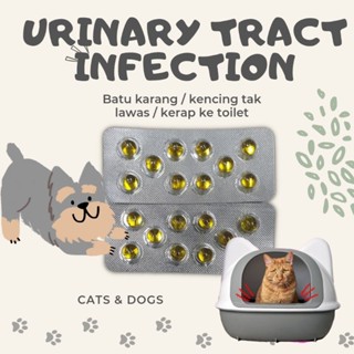Ubat Batu Karang / Urinary Infection Kucing Kencing tak lawas | Shopee ...