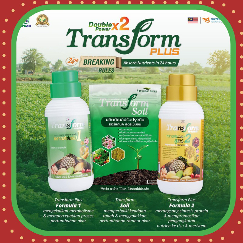 Transform Soil 100% Organic Amino Acid Fertilizer AAA Baja Teknologi pokok bunga Buah & Sayuran ...