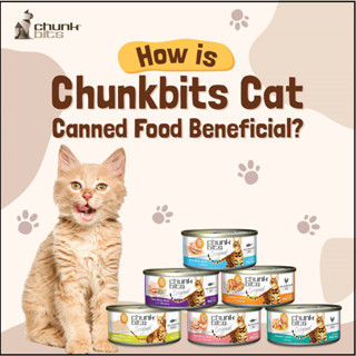 Ready Stock SUPER PREMIUM Chunk Bits Cat Can Food 80g | Shopee Malaysia