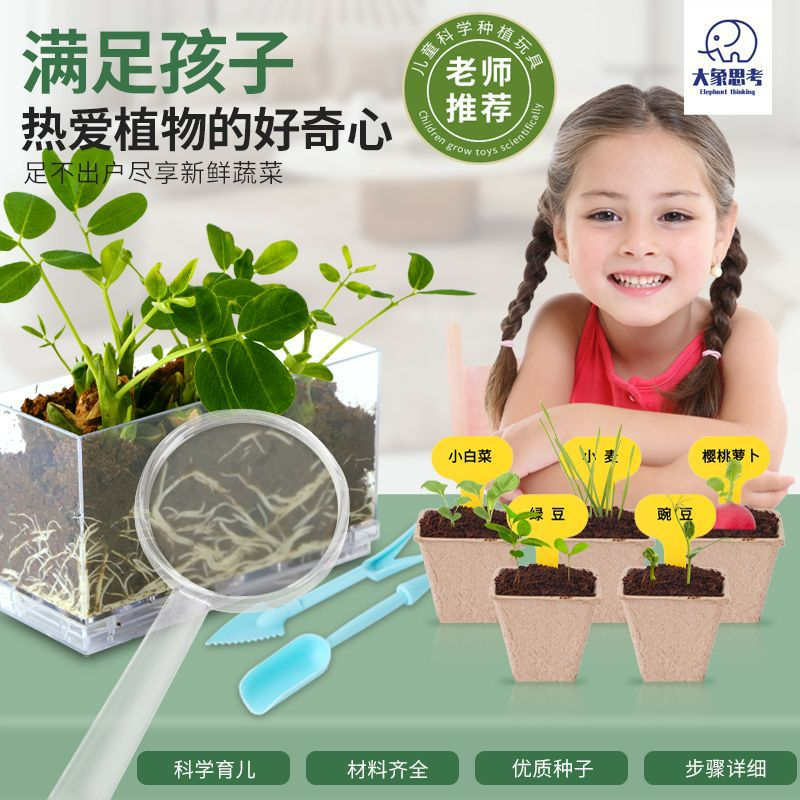 Children Planting Observation Seed Germination Growth Science ...