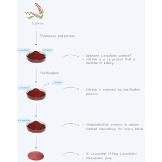 NOVA LIPIROS TAB 60'S | Shopee Malaysia