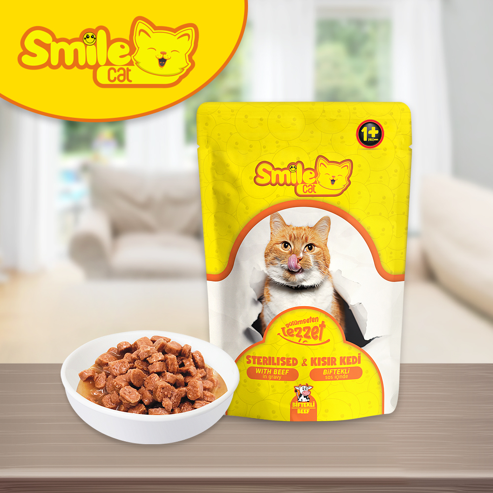 SMILE CAT POUCH CAT 100GM (buy 5 Bags , FREE 1 Bag) | Cat Treats ...