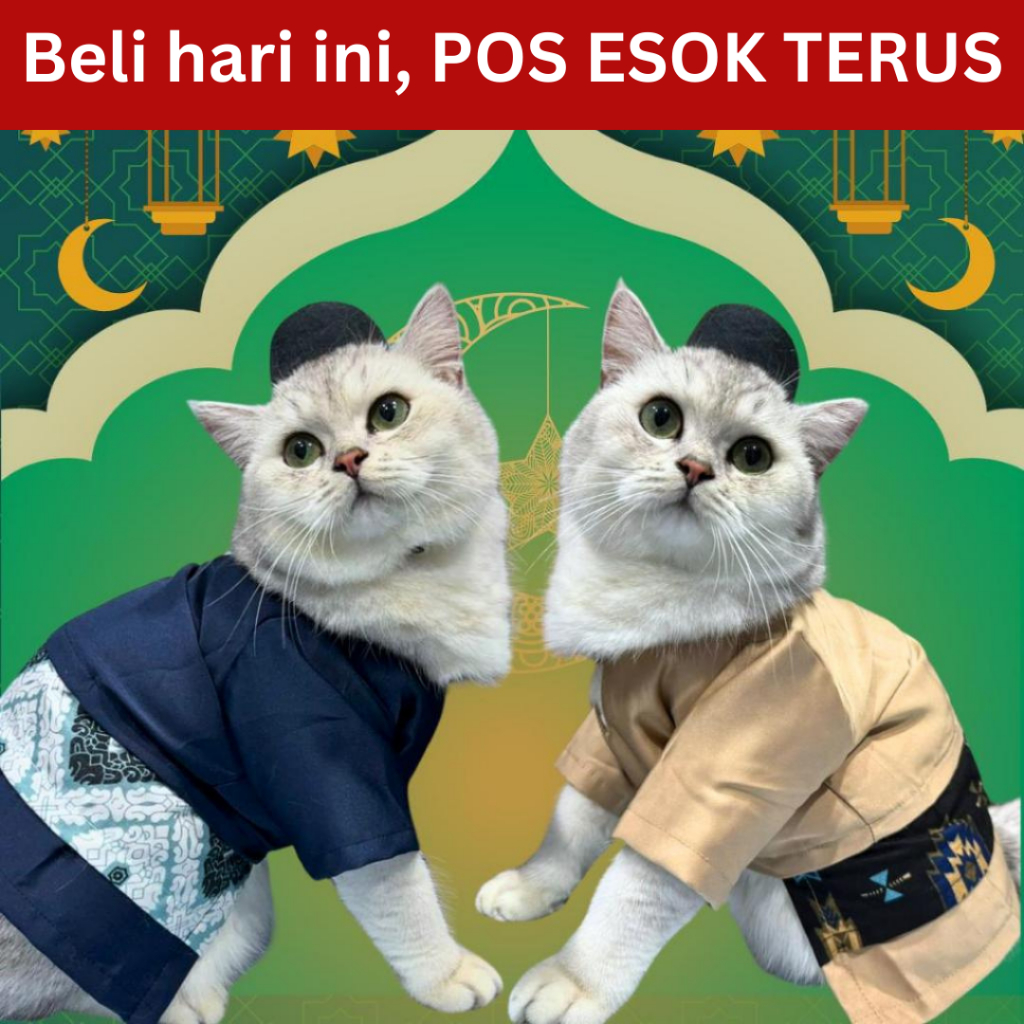 GUN PET Baju Raya Melayu Kucing Songkok Baju Kurung Baju Mel.. | Pet ...