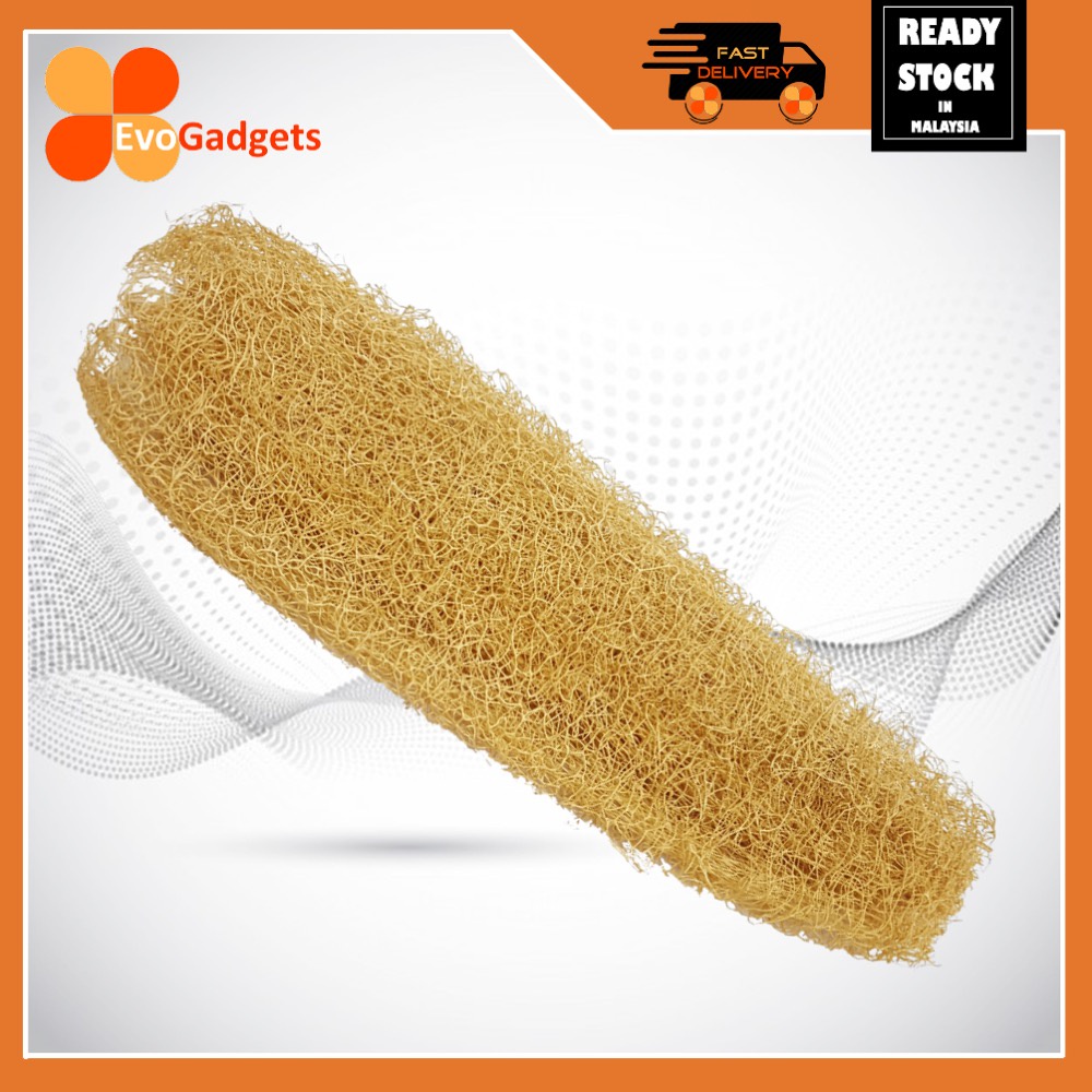 Natural Luffa / Loofah - Skin care / Cleaning exfoliating / Bowl ...