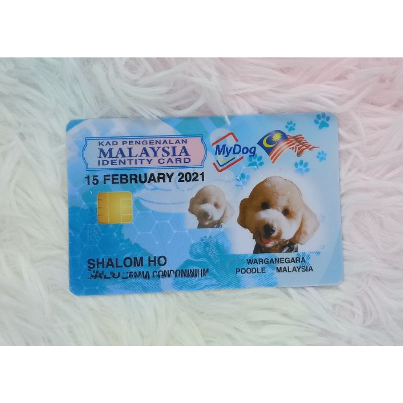 Custom Made IC DOG COMEL | Shopee Malaysia