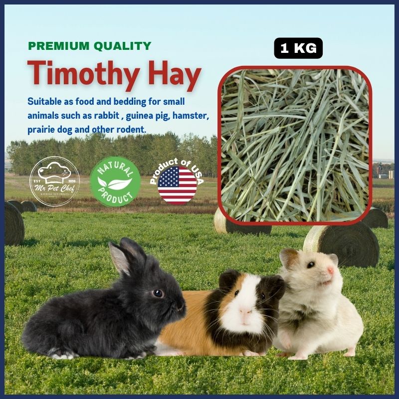 Timothy Hay 2nd Cut Rabbit Food Timoty Hay Bunny thimothy Hays Makanan ...