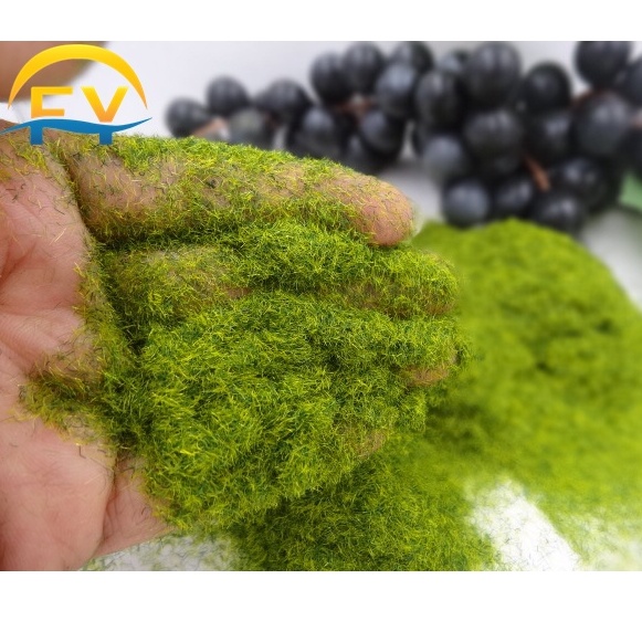FY 100g Artificial Diorama Grass Powder DIY Tree Model making Sand ...