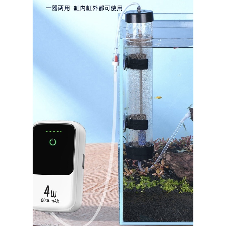 **Ready Stock** Aquarium Artemia Brine Incubator Shrimp Hatching Full ...