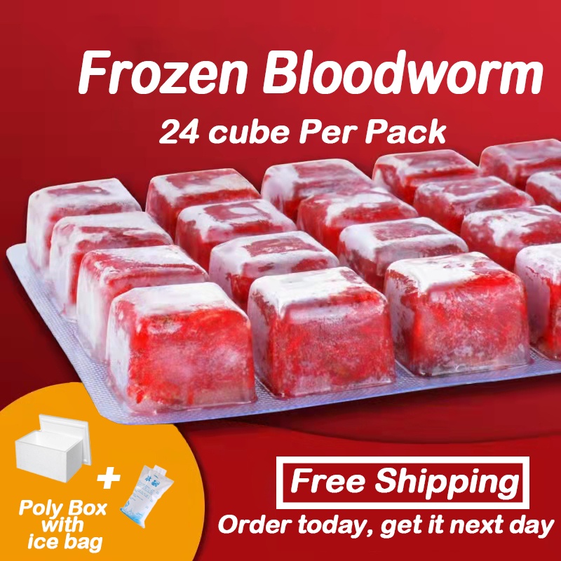 Frozen Bloodworm Cube 5 Pack/10Pack/25Pack Cacing Beku Pack 100g Per ...