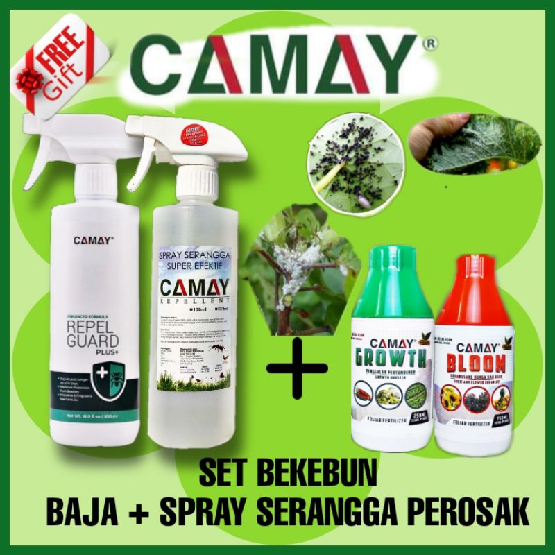 CAMAY REPELLENT SPRAY + CAMAY GROWTH + CAMAY BLOOM | MENYUBURKAN ...