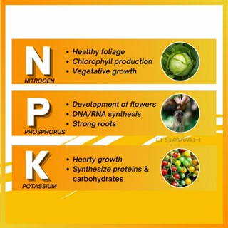 EAGLE GREEN Baja Hijau (Baja Anak Baja Subur) 1KG NPK 15:15:15 Baja ...