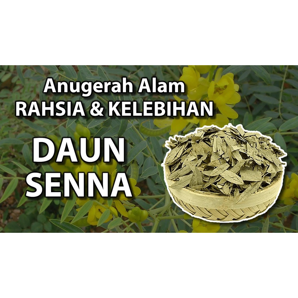 [ READY STOCK ] TEH DAUN SANNA CUCI USUS 100% DAUN TEH ASLI 100GM ...