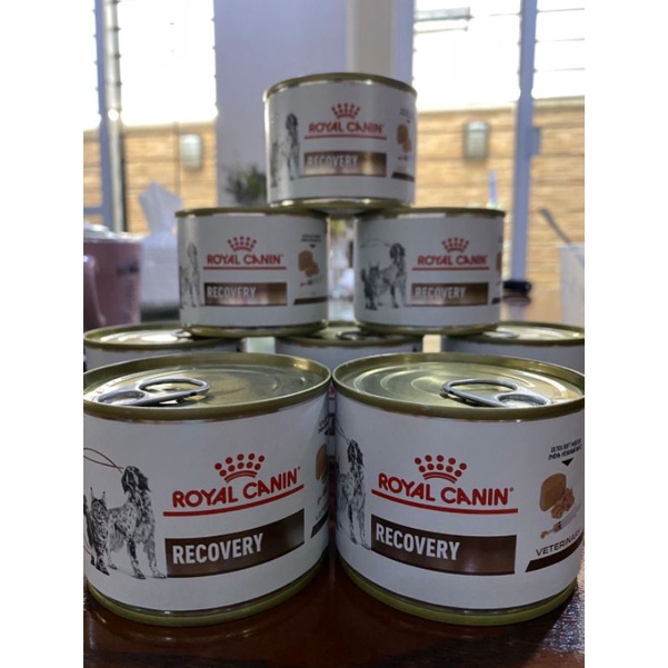 (READY STOCK) ROYAL CANIN Recovery Dog & Cat Wet Food 195g | Shopee ...